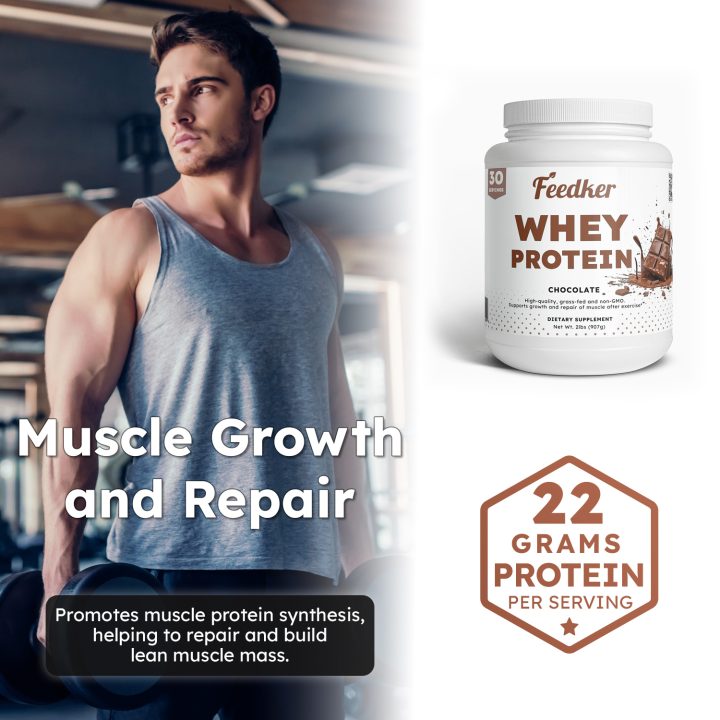 Whey Protein (Chocolate Flavour) - Feedker