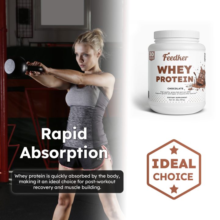 Whey Protein (Chocolate Flavour) - Feedker
